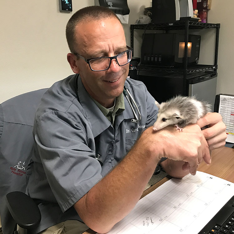 Meet Our Team | Kyle Animal Hospital