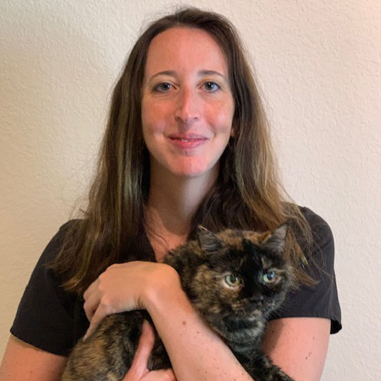 Meet Our Team | Kyle Animal Hospital